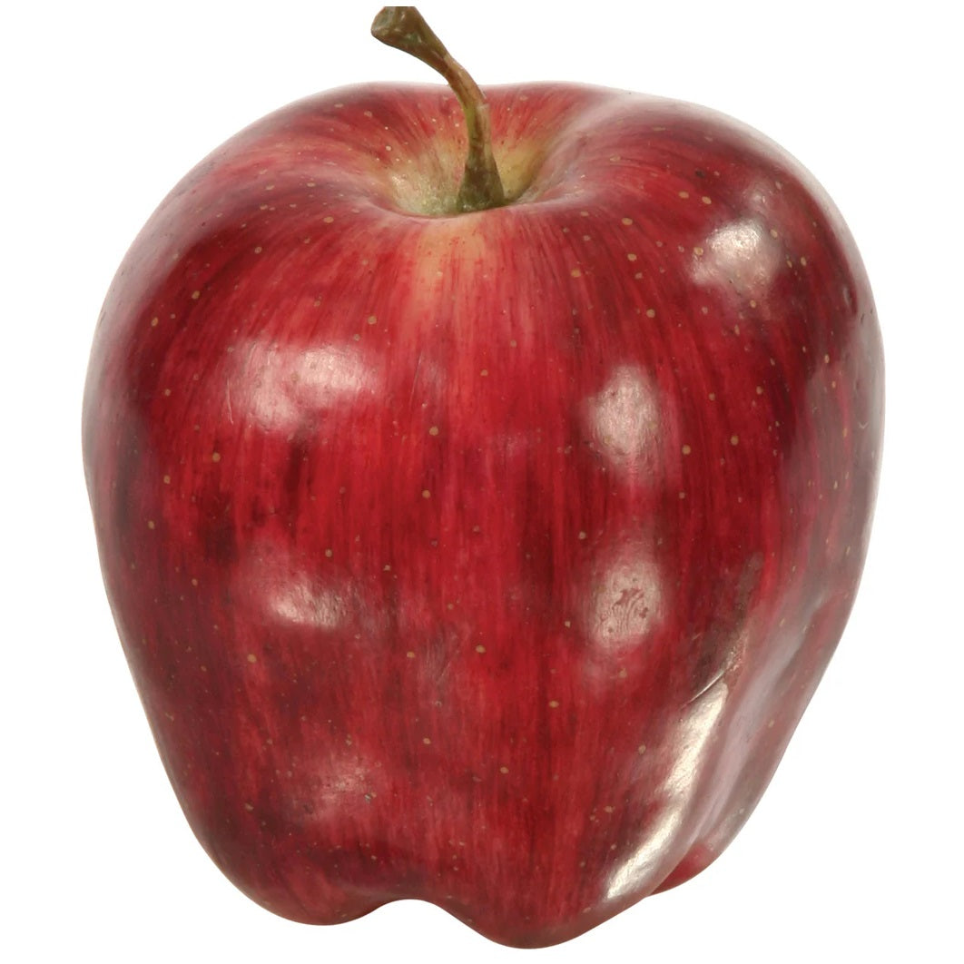 High-quality Realistic Artificial Red Apples (Set of 6) | Winward Home
