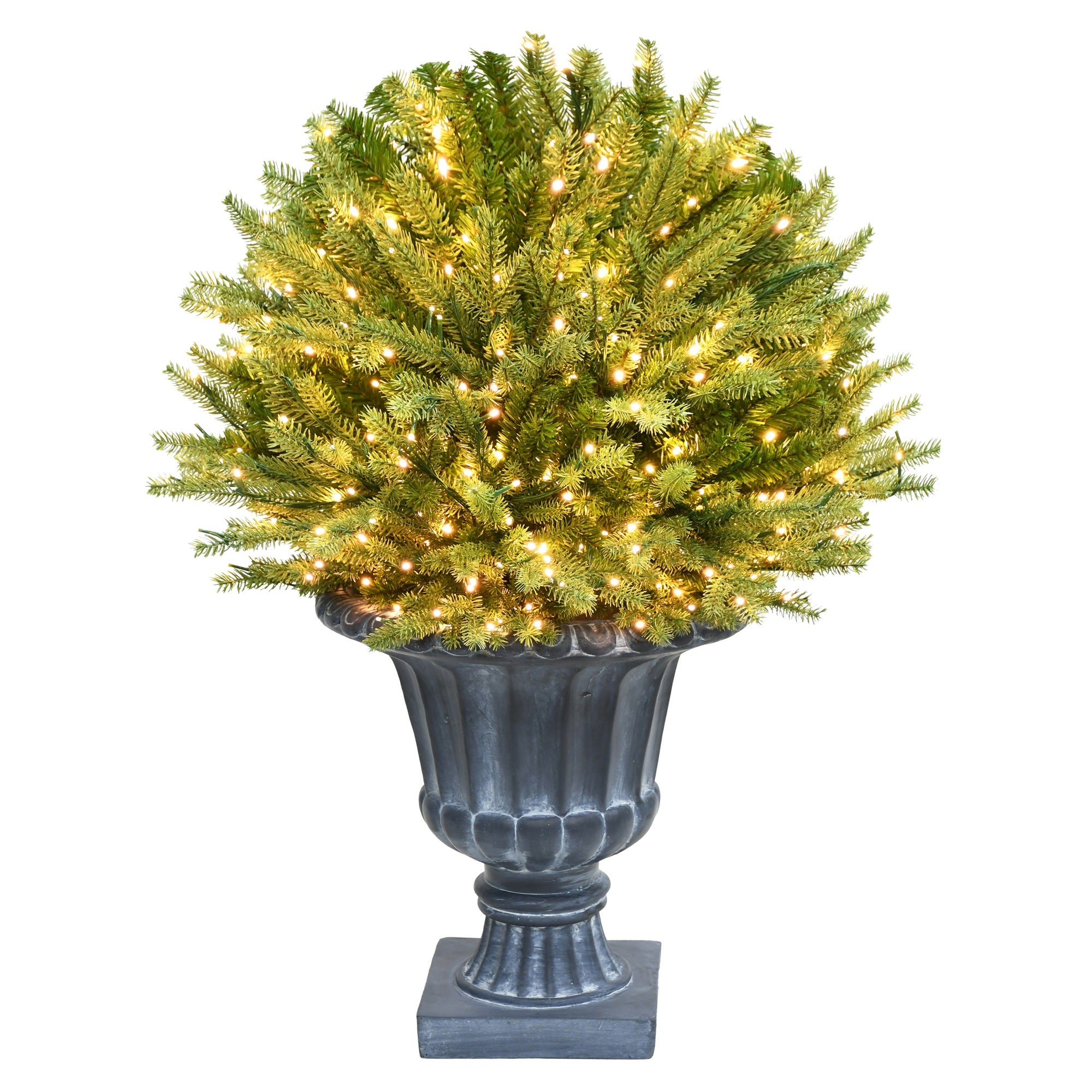 3 ft. Deluxe Potted St Catherine Round Tabletop Christmas Tree ...