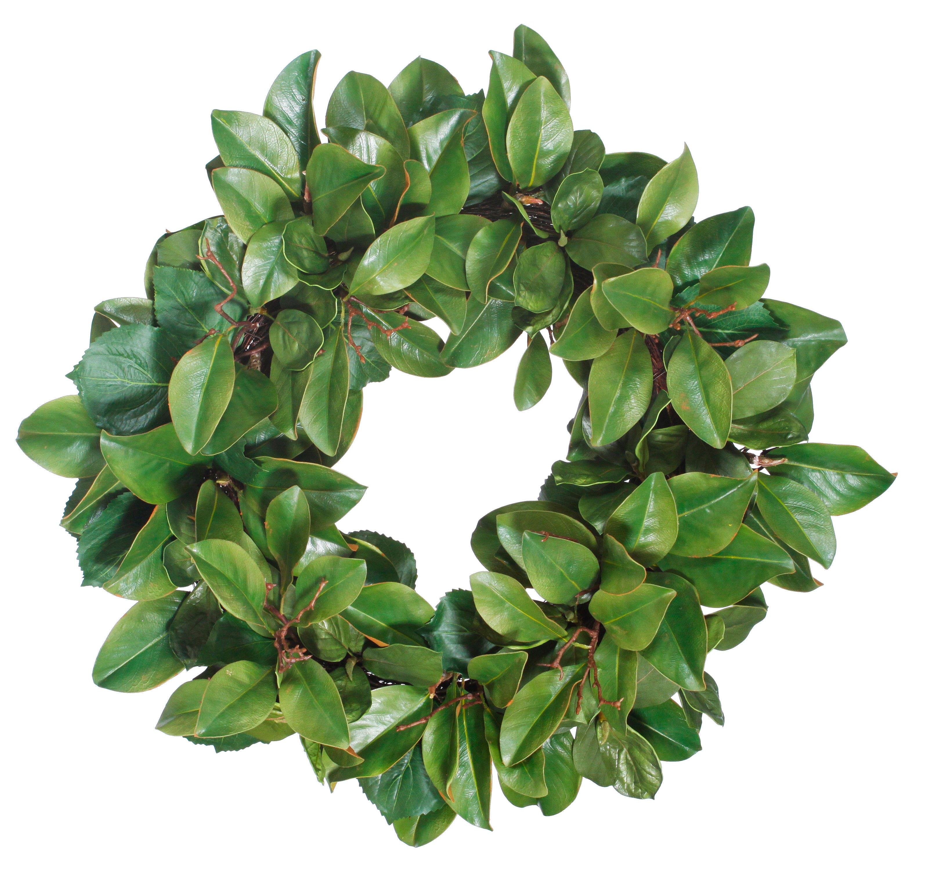 Handcrafted Faux Magnolia Leaf & Twig Wreath 30" | Winward Home