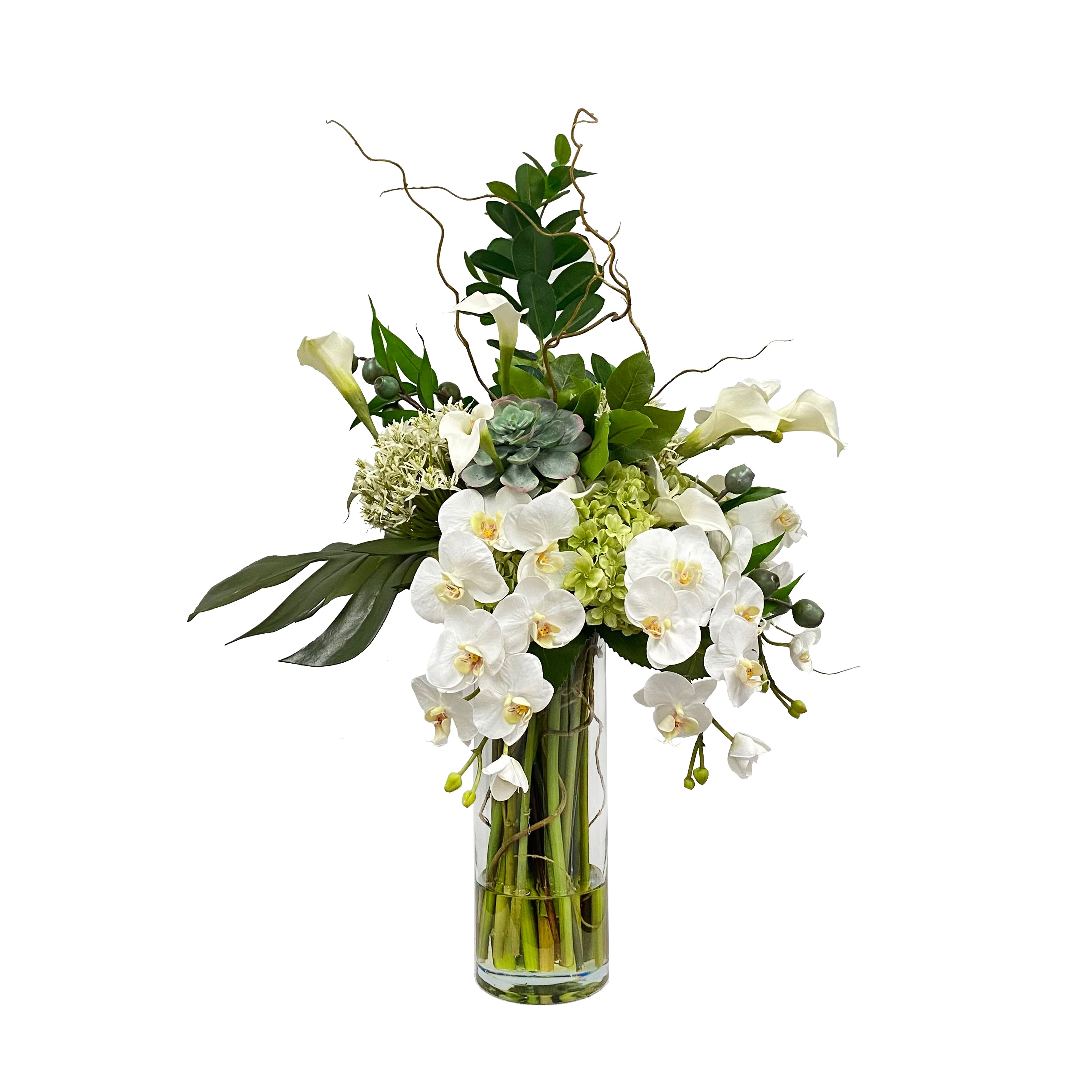 Split Philo Orchid in Vase | Winward Home